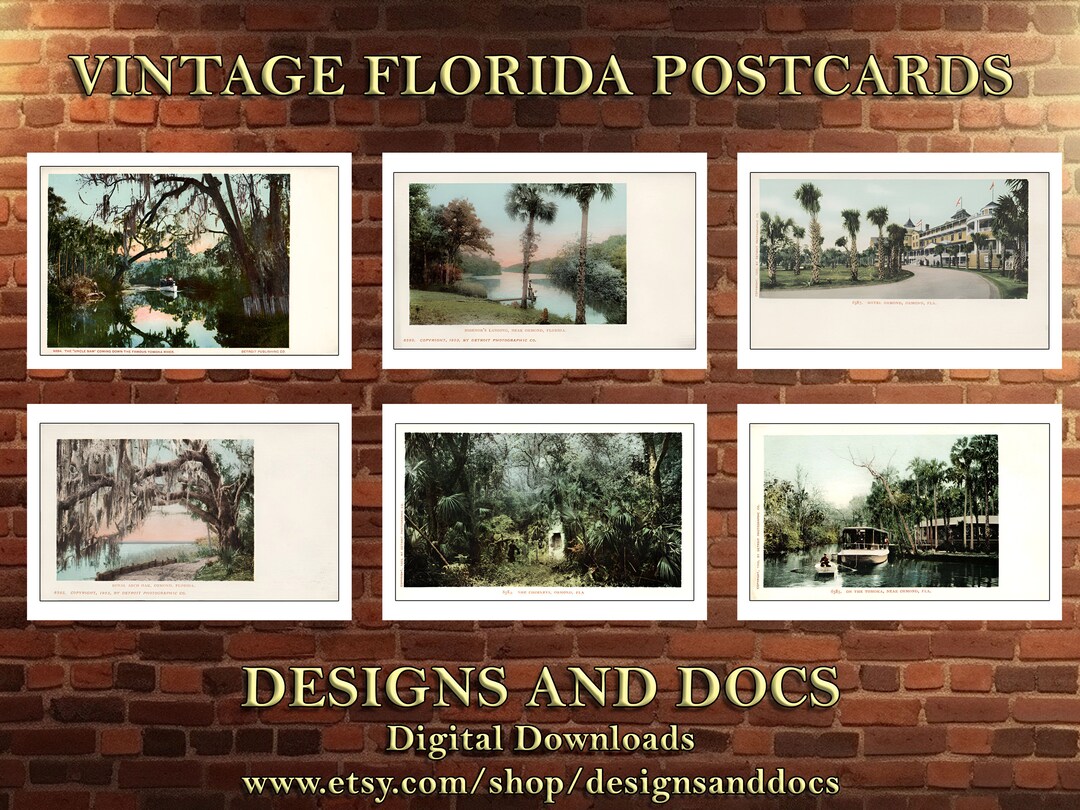 6 Vintage Florida Postcards– Digital Download – Florida Scenes – 6” X 4 ...