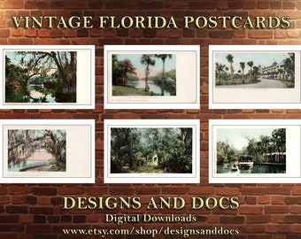 6 Vintage Florida Postcards– Digital Download – Florida Scenes – 6” X 4 ...
