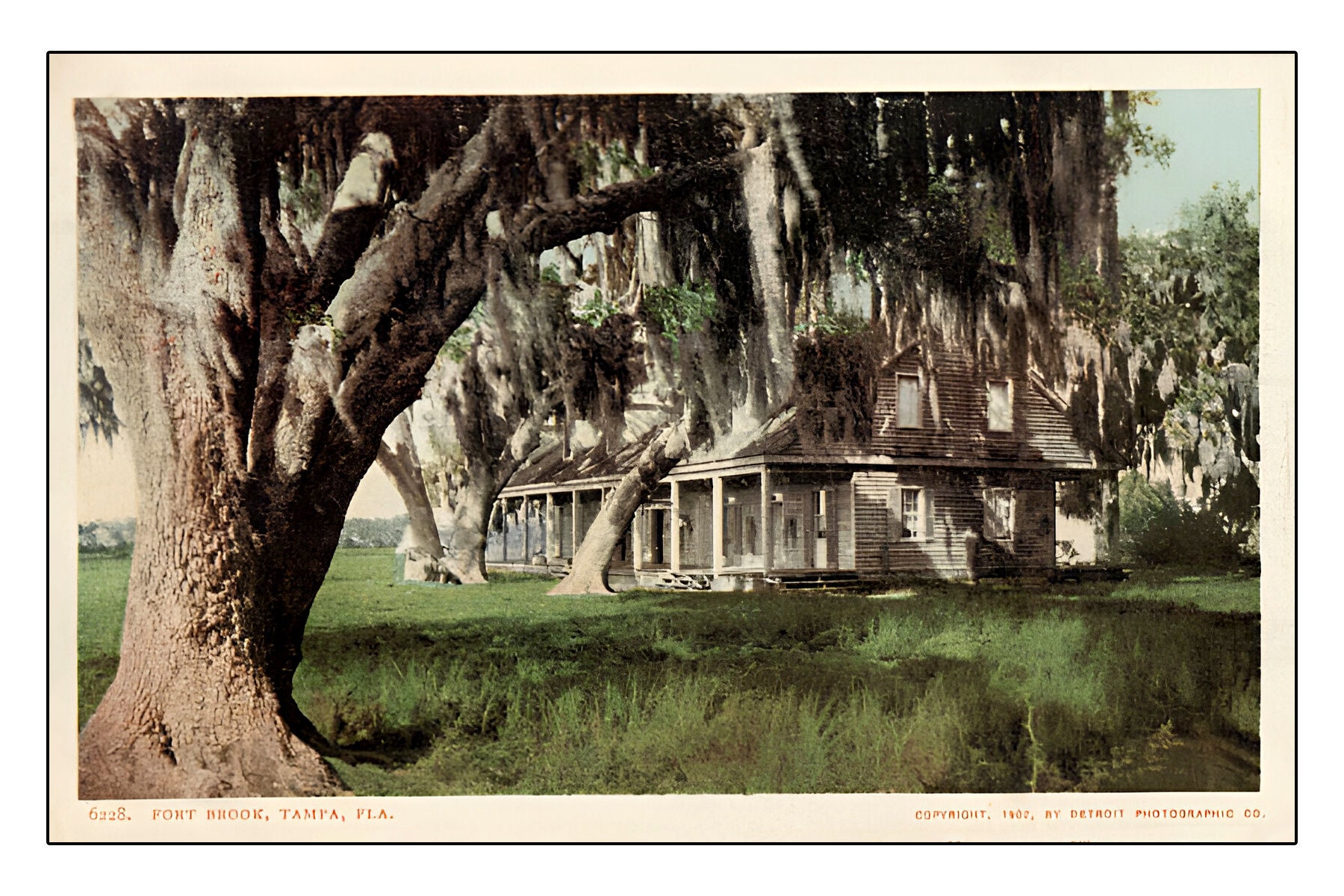 6 Vintage Florida Postcards– Digital Download – Florida Scenes – 6” X 4 ...