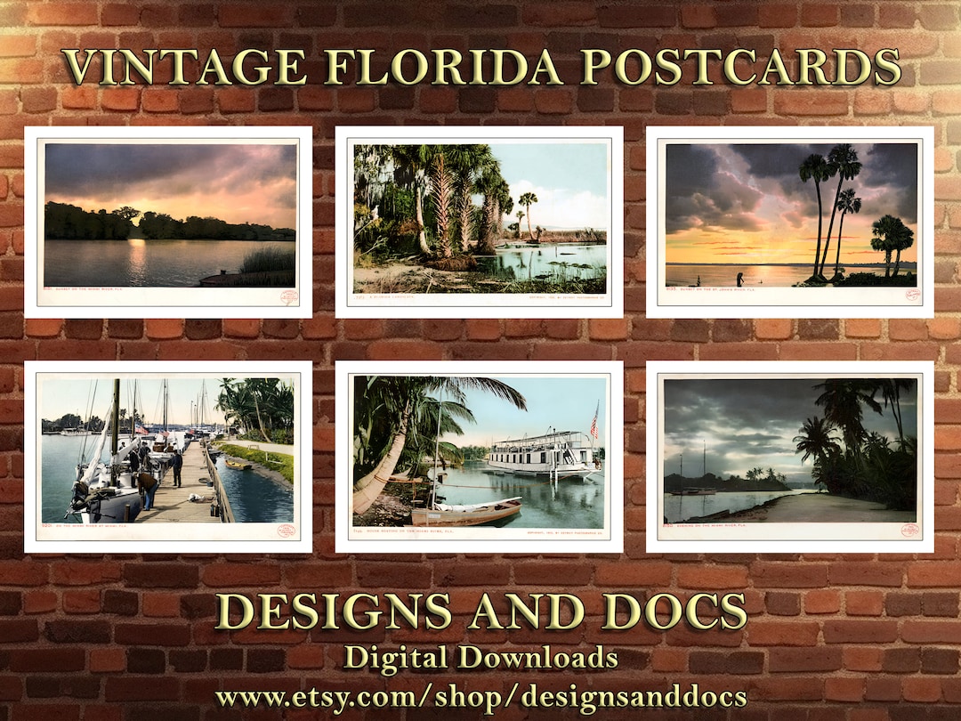 6 Vintage Florida Postcards– Digital Download – Florida Scenes – 6” X 4 ...