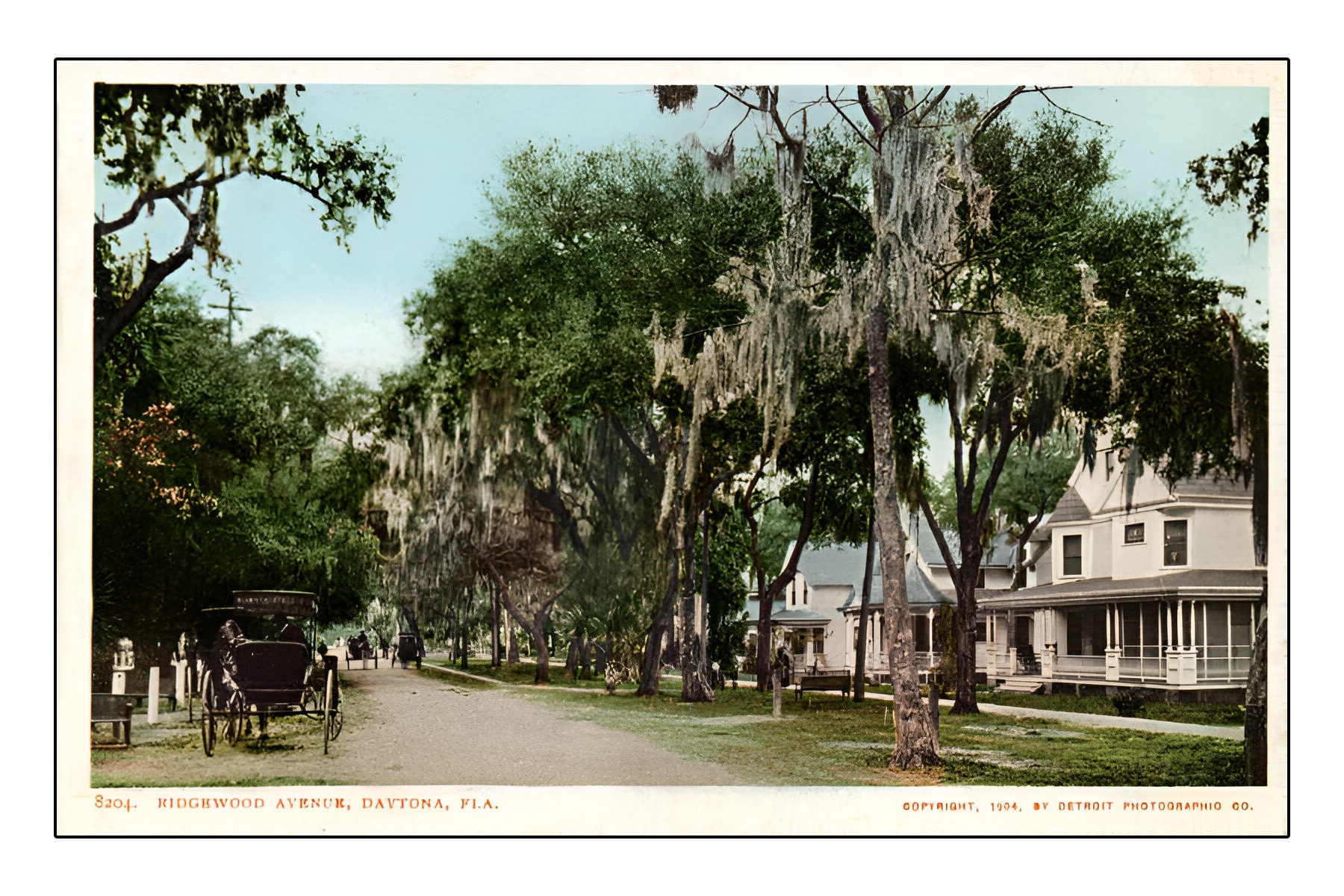 6 Vintage Florida Postcards– Digital Download – Florida Scenes – 6” X 4 ...