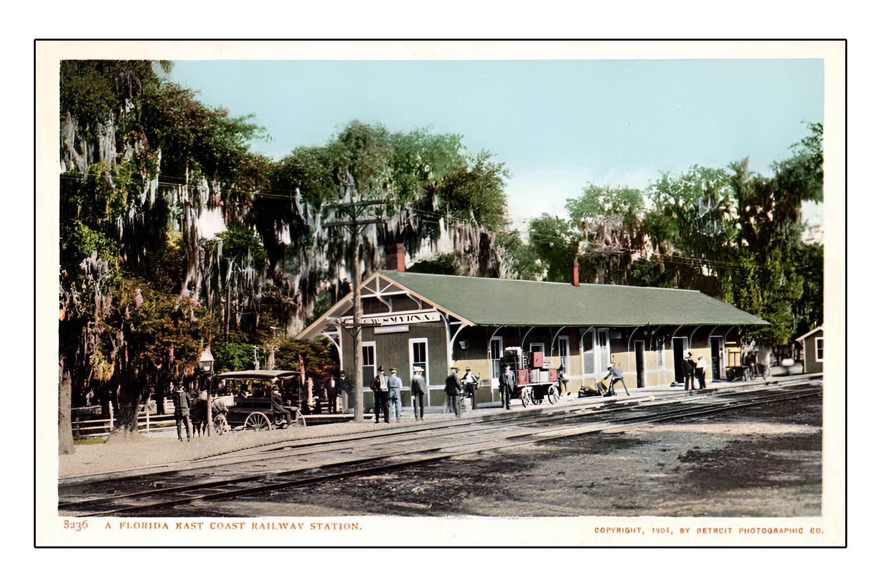 6 Vintage Florida Postcards– Digital Download – Florida Scenes – 6” X 4 ...