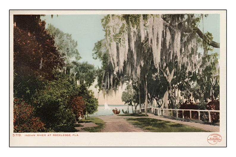 6 Vintage Florida Postcards– Digital Download – Florida Scenes – 6” X 4 ...