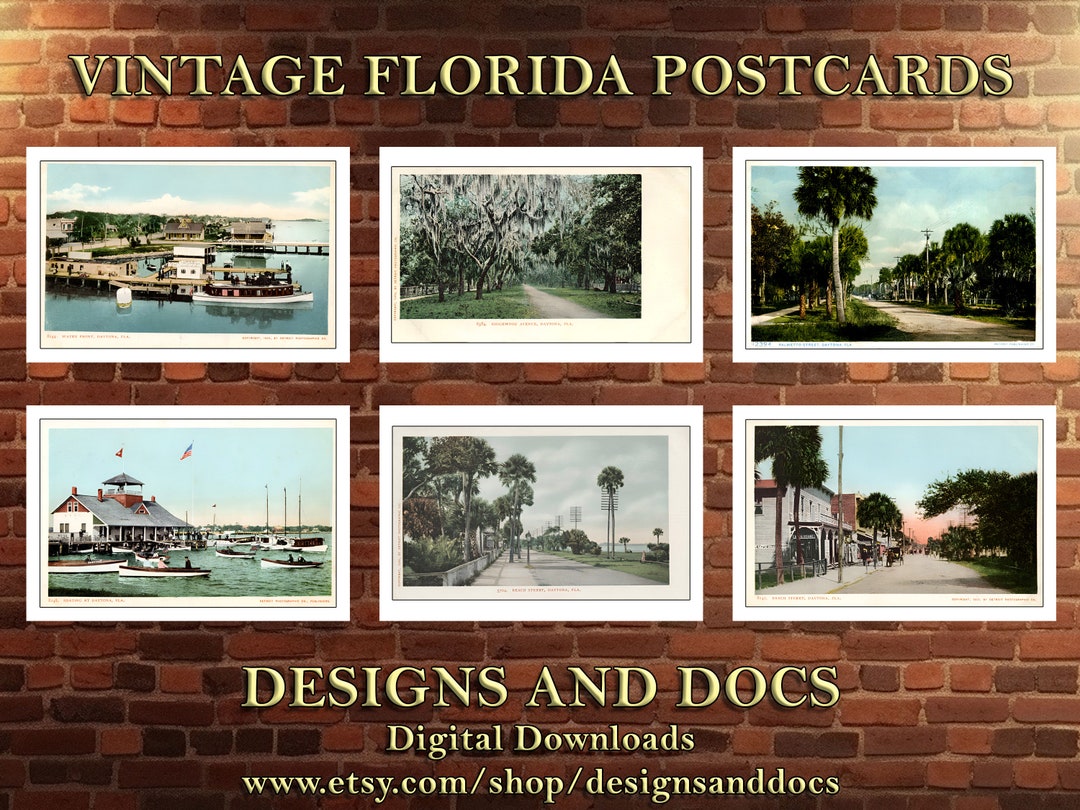 6 Vintage Florida Postcards– Digital Download – Florida Scenes – 6” X 4 ...