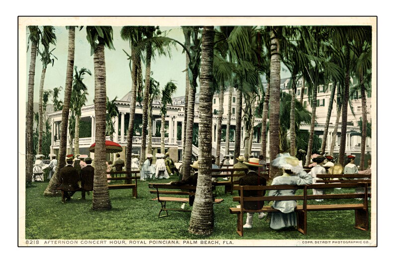 6 Vintage Florida Postcards– Digital Download – Florida Scenes – 6” X 4 ...