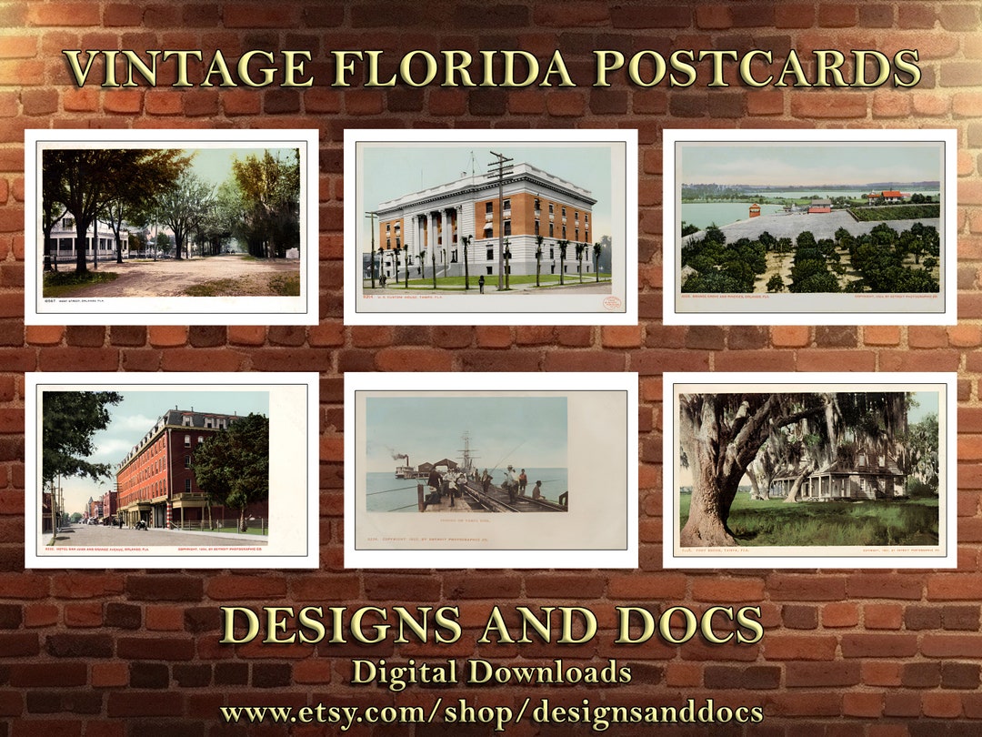 6 Vintage Florida Postcards– Digital Download – Florida Scenes – 6” X 4 ...