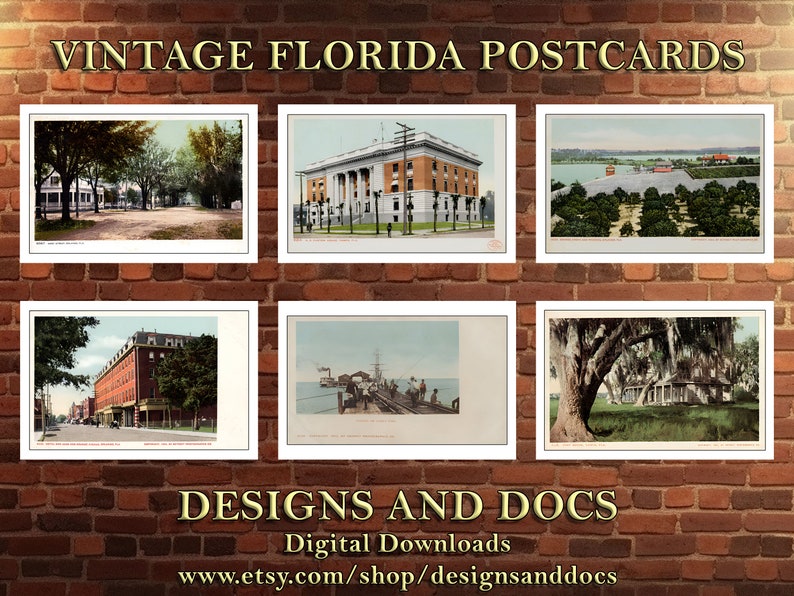 6 Vintage Florida Postcards– Digital Download – Florida Scenes – 6” X 4 ...