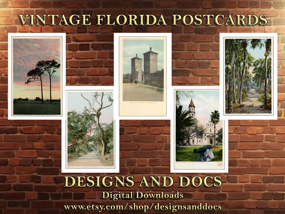 5 Vintage Florida Postcards– Assorted Florida Scenes – Digital Download ...