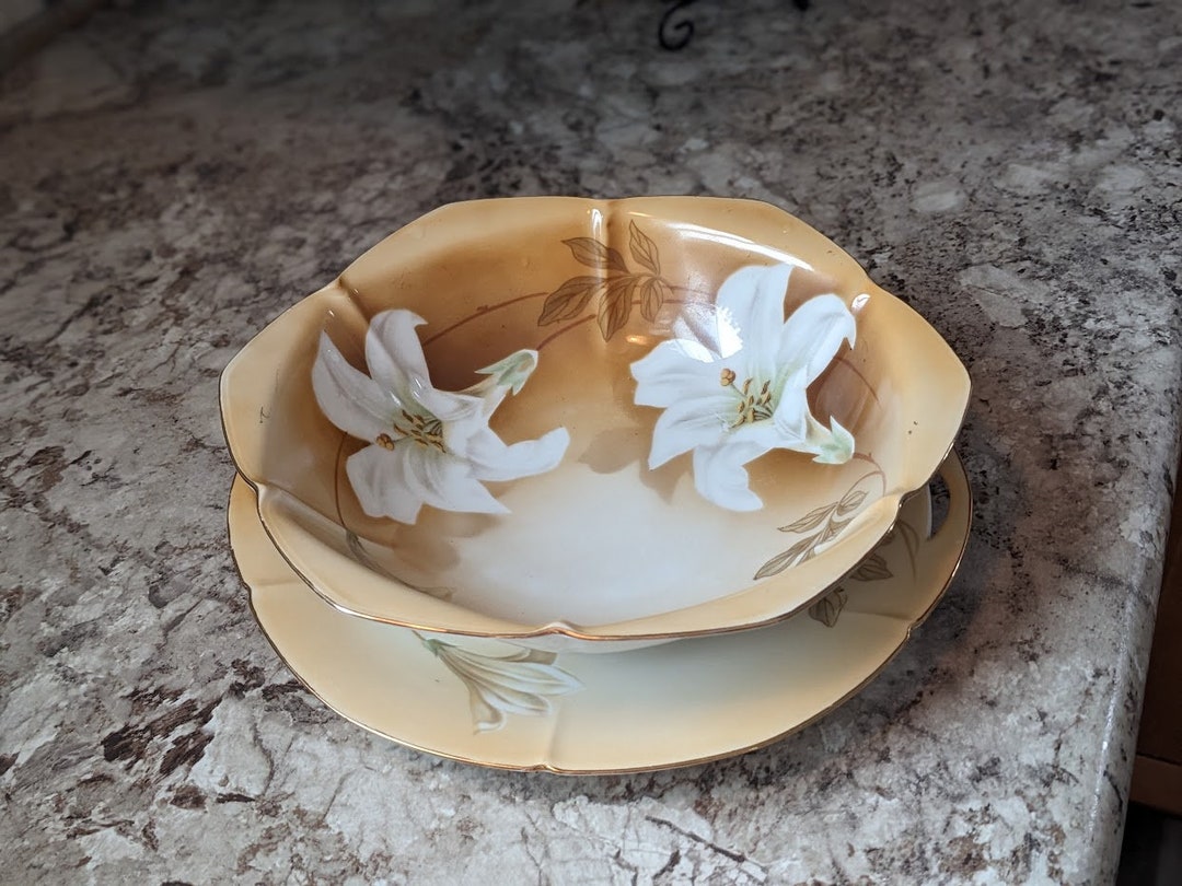 RS Reinhold Schlegelmilch Porcelain Hand Painted White Lily on Brown ...