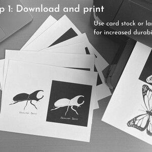 Insect Collection: Montessori High Contrast Printable Sensory Cards - Etsy
