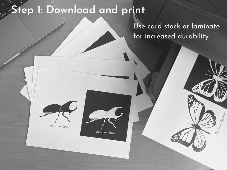 Insect Collection: Montessori High Contrast Printable Sensory Cards - Etsy