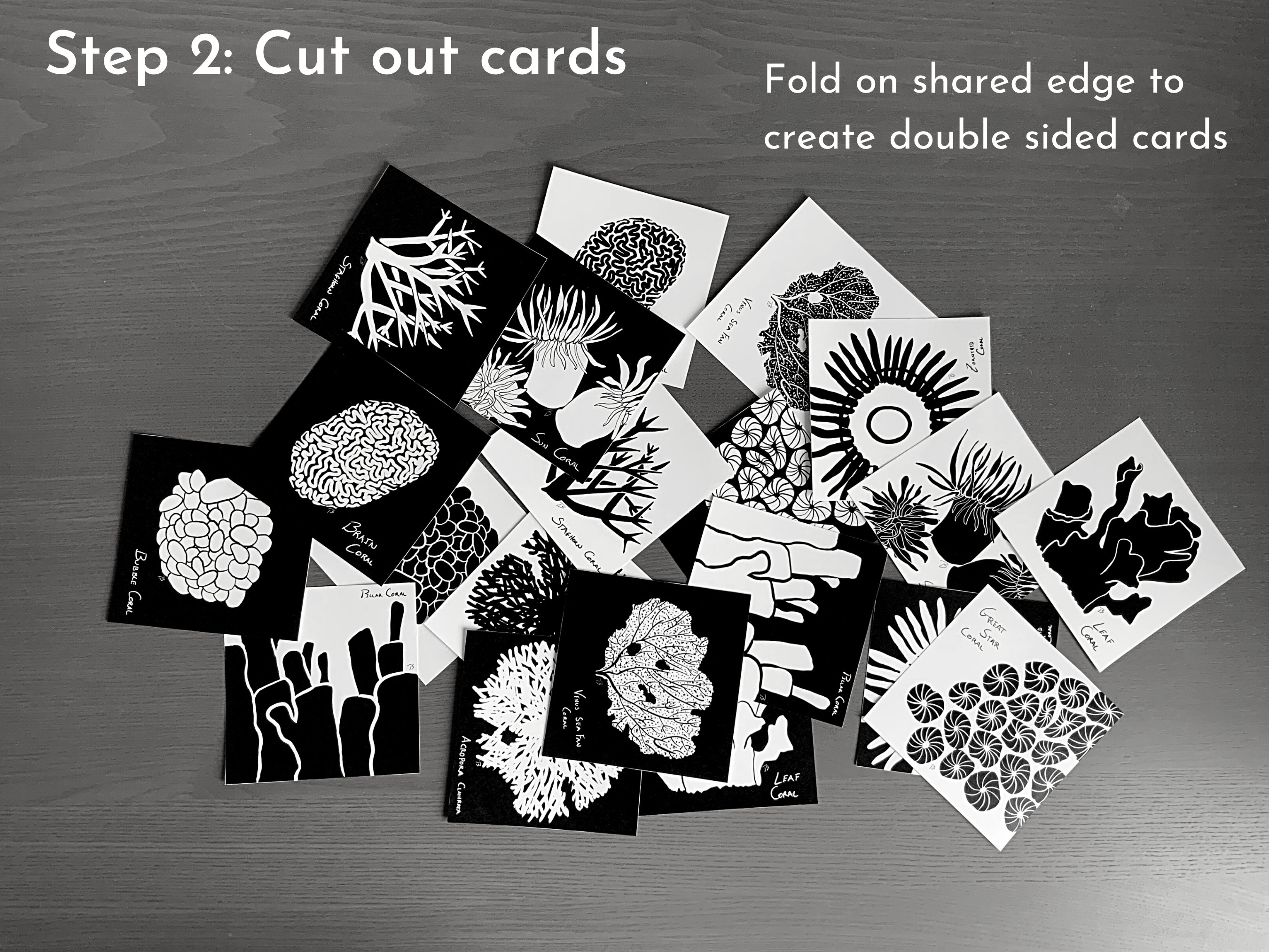 Coral Collection: Montessori High Contrast Printable Sensory Cards - Etsy