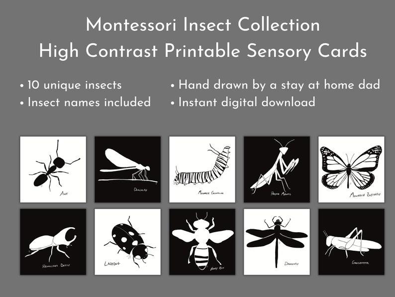 Insect Collection: Montessori High Contrast Printable Sensory Cards - Etsy