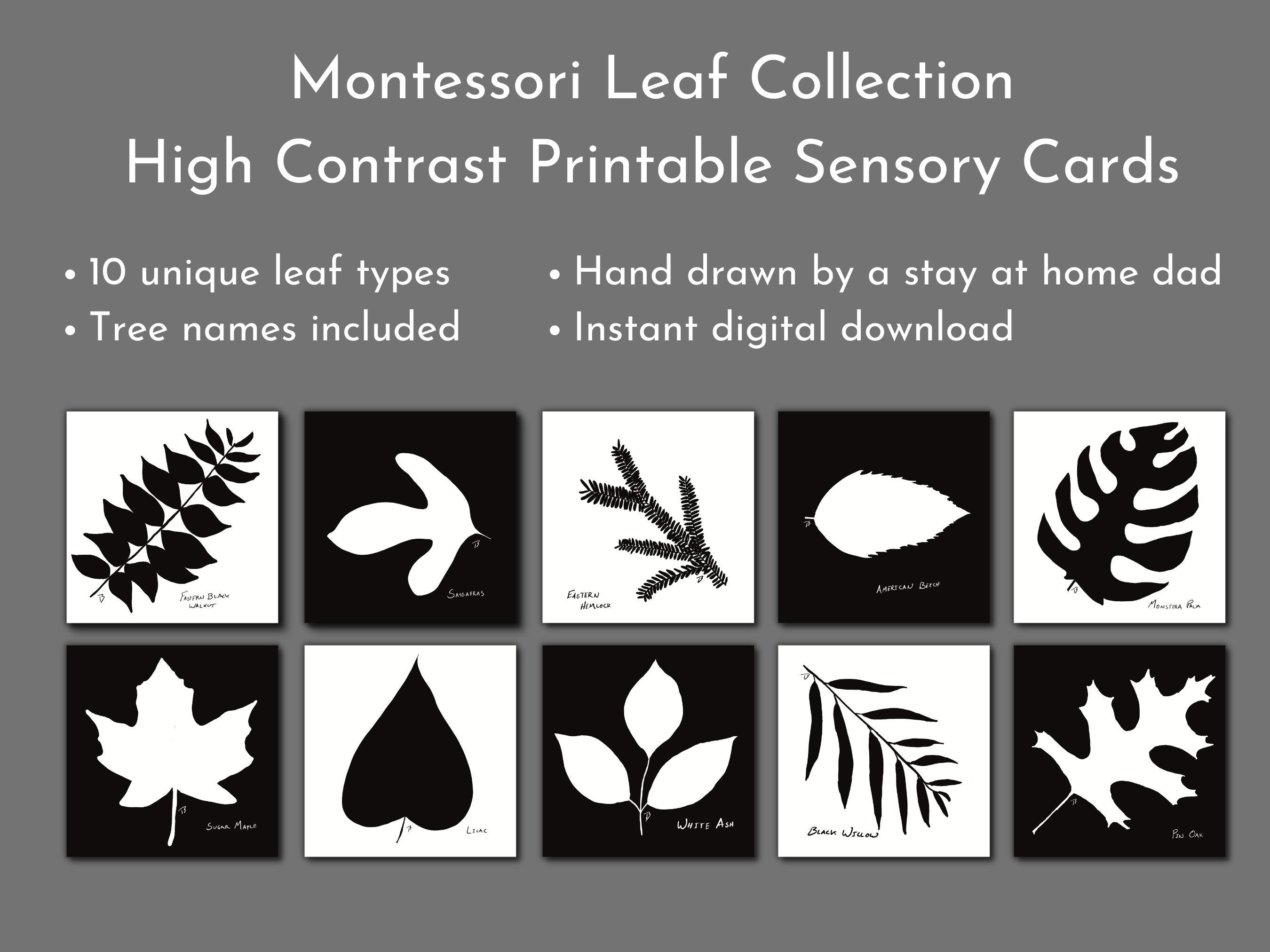 Leaf Collection: Montessori High Contrast Printable Sensory Cards - Etsy
