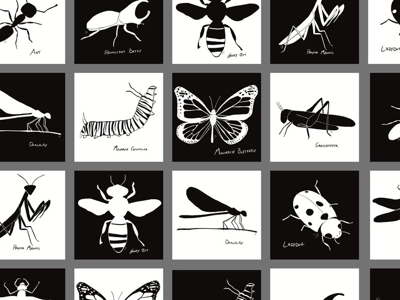 Insect Collection: Montessori High Contrast Printable Sensory Cards - Etsy
