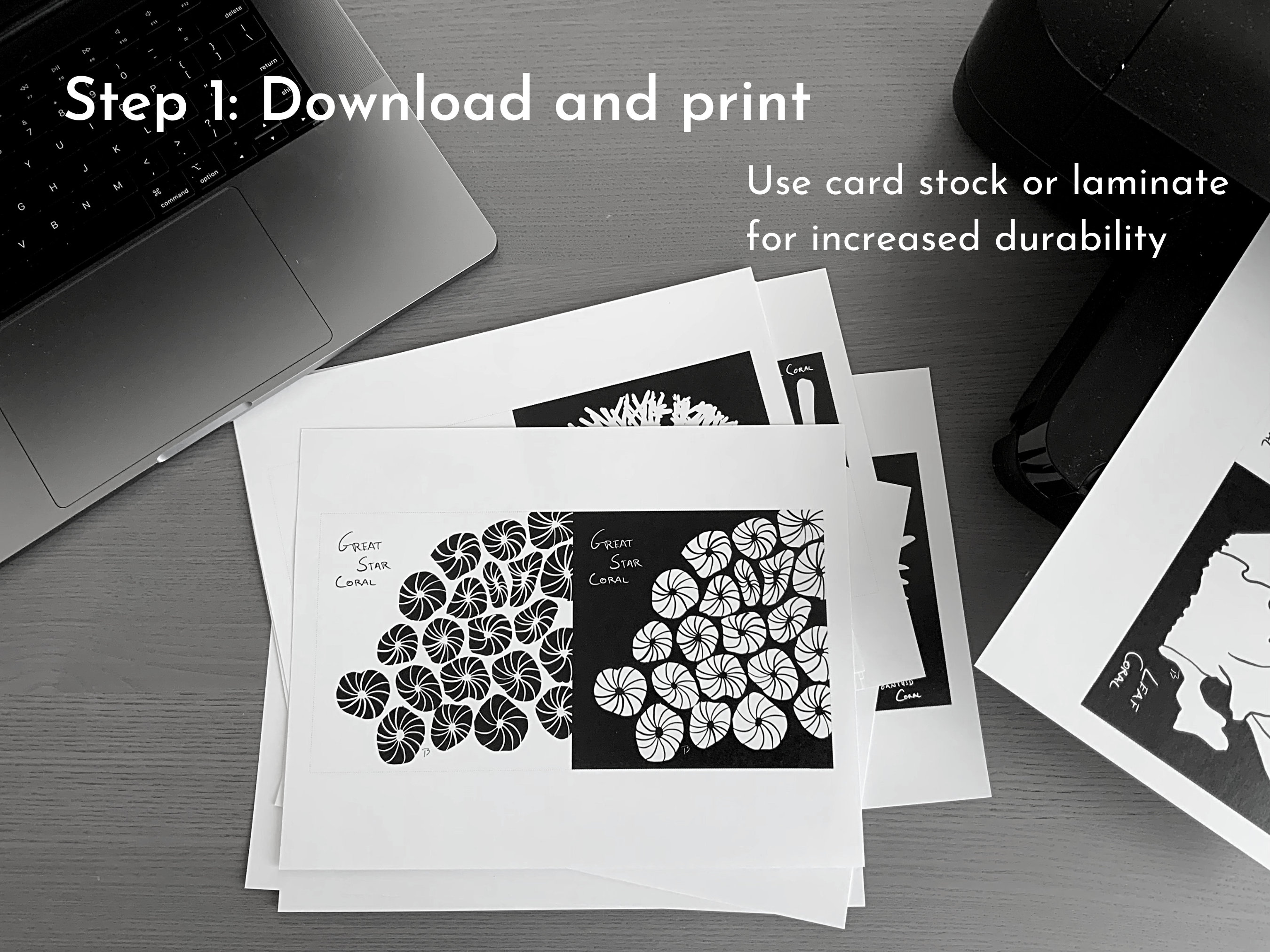 Coral Collection: Montessori High Contrast Printable Sensory Cards - Etsy