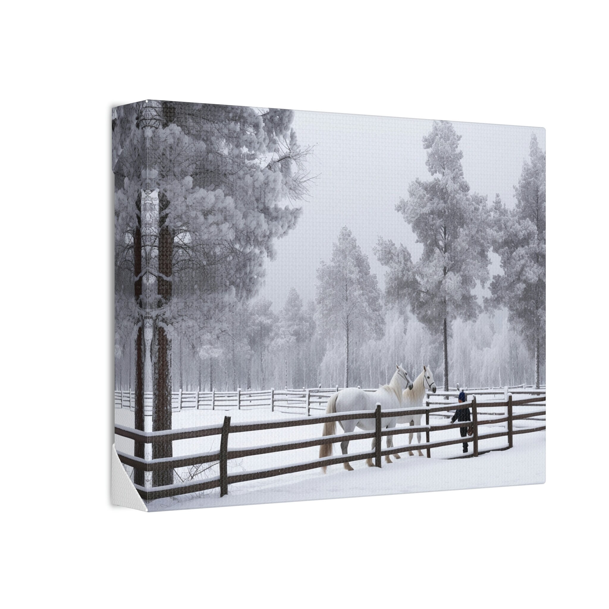 Winter Wonder (horizontal): Child, Horses, Winter, Snow, Fence, Field ...