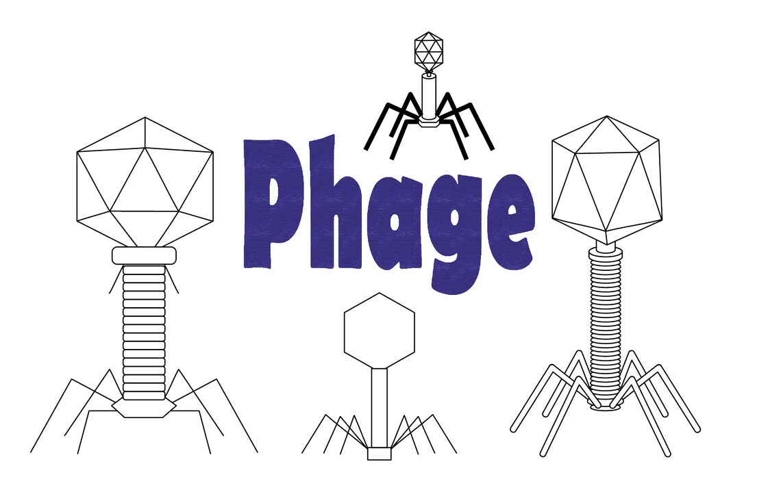 PHAGE VIRUS Bundle. Clipart. Sticker. Transparent. PNG. 1200 Ppi ...