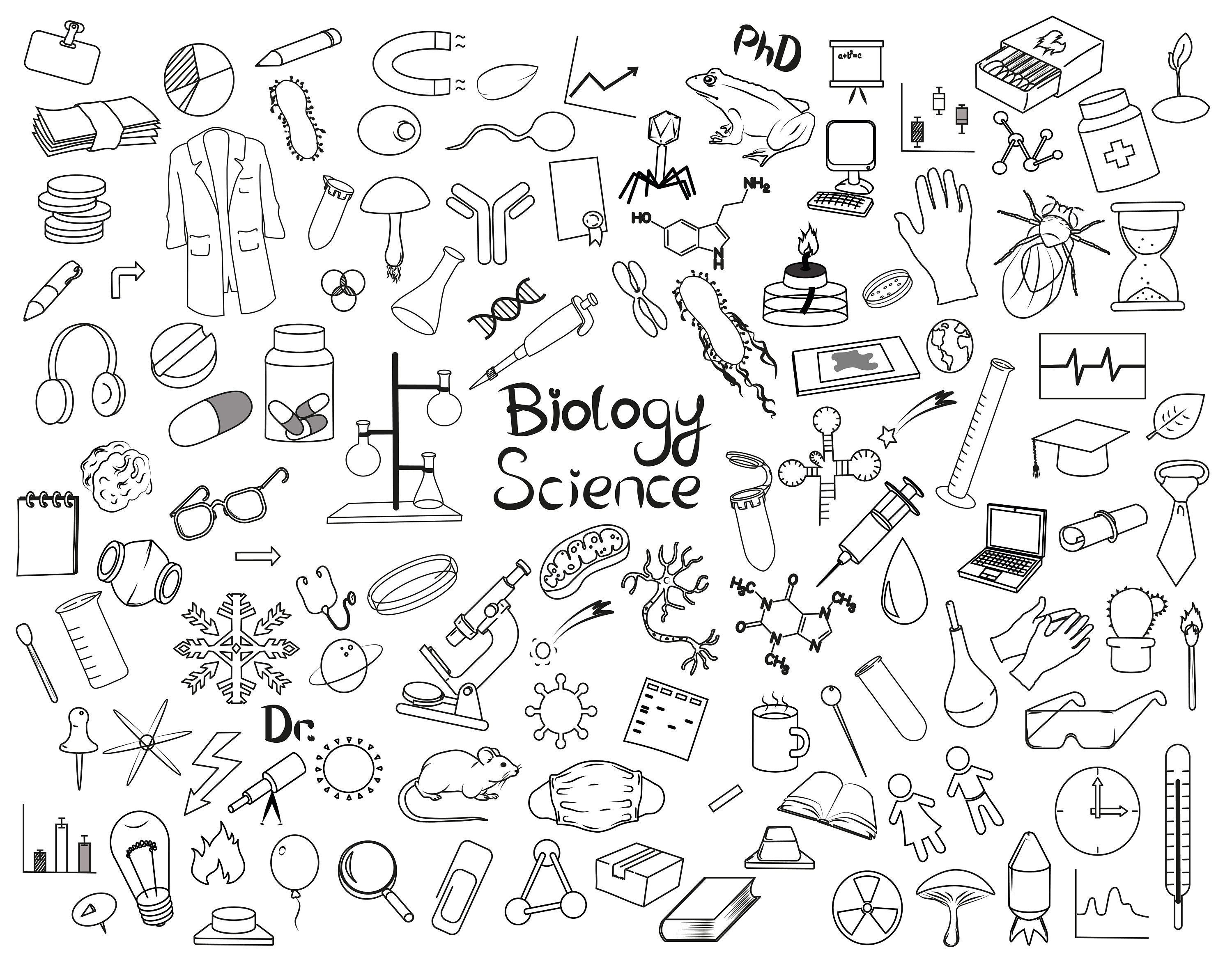 BIOLOGY SCIENCE Bundle. 100+ Pcs. Clipart. Sticker. Transparent. PNG ...