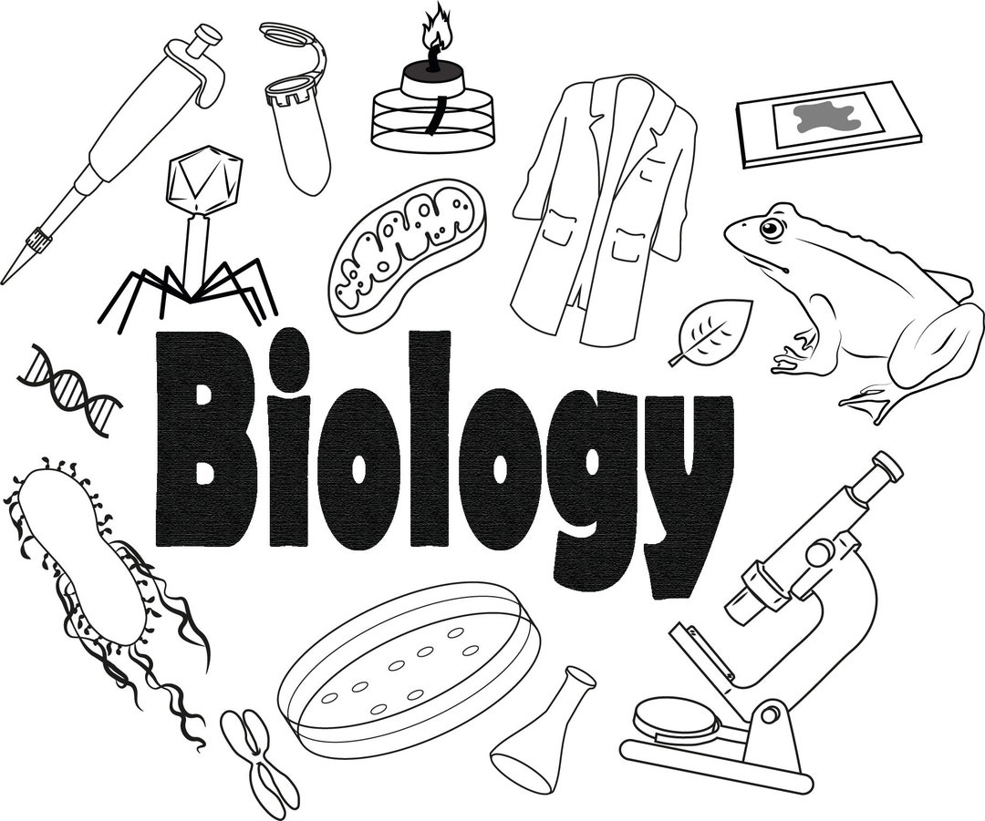 BIOLOGY Bundle [lite]. Clipart. Sticker. Transparent. PNG. 1200ppi ...
