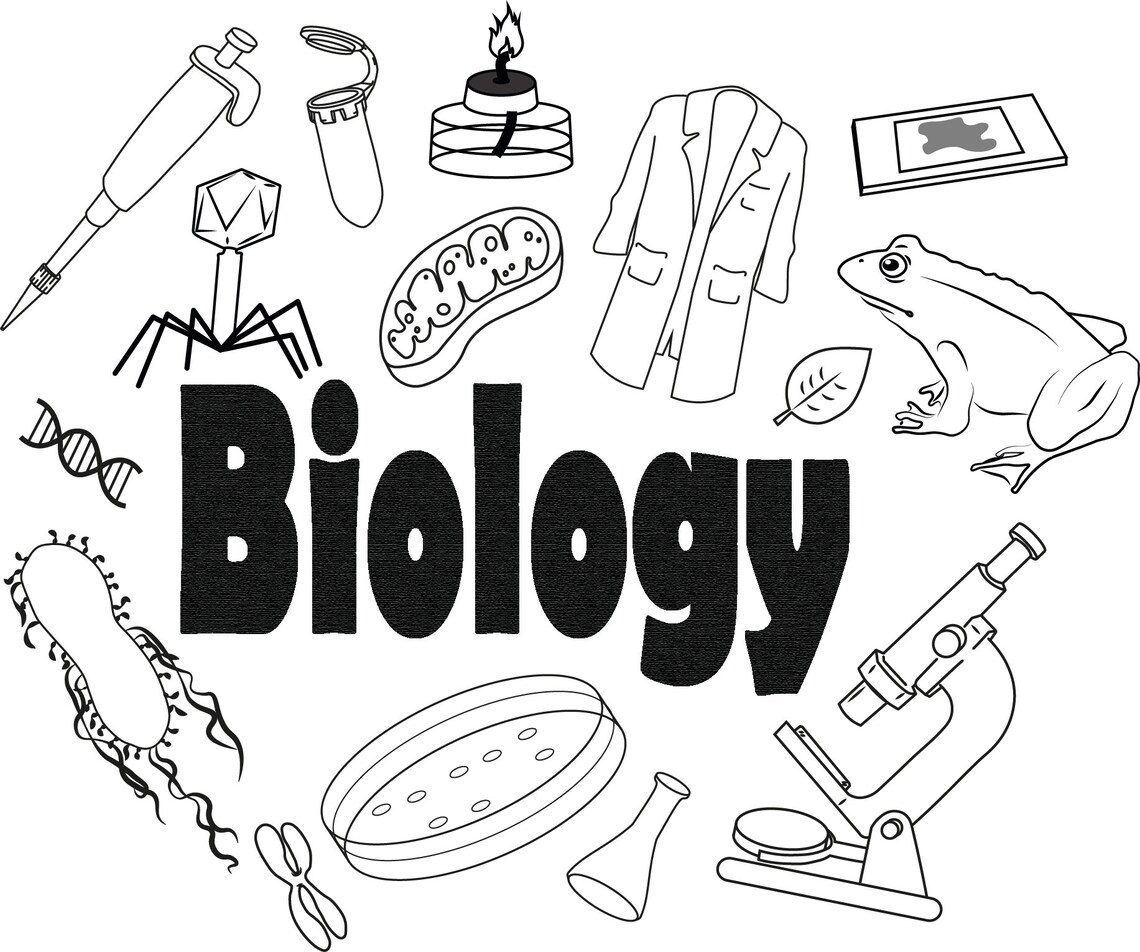 BIOLOGY Bundle [lite]. Clipart. Sticker. Transparent. PNG. 1200ppi ...