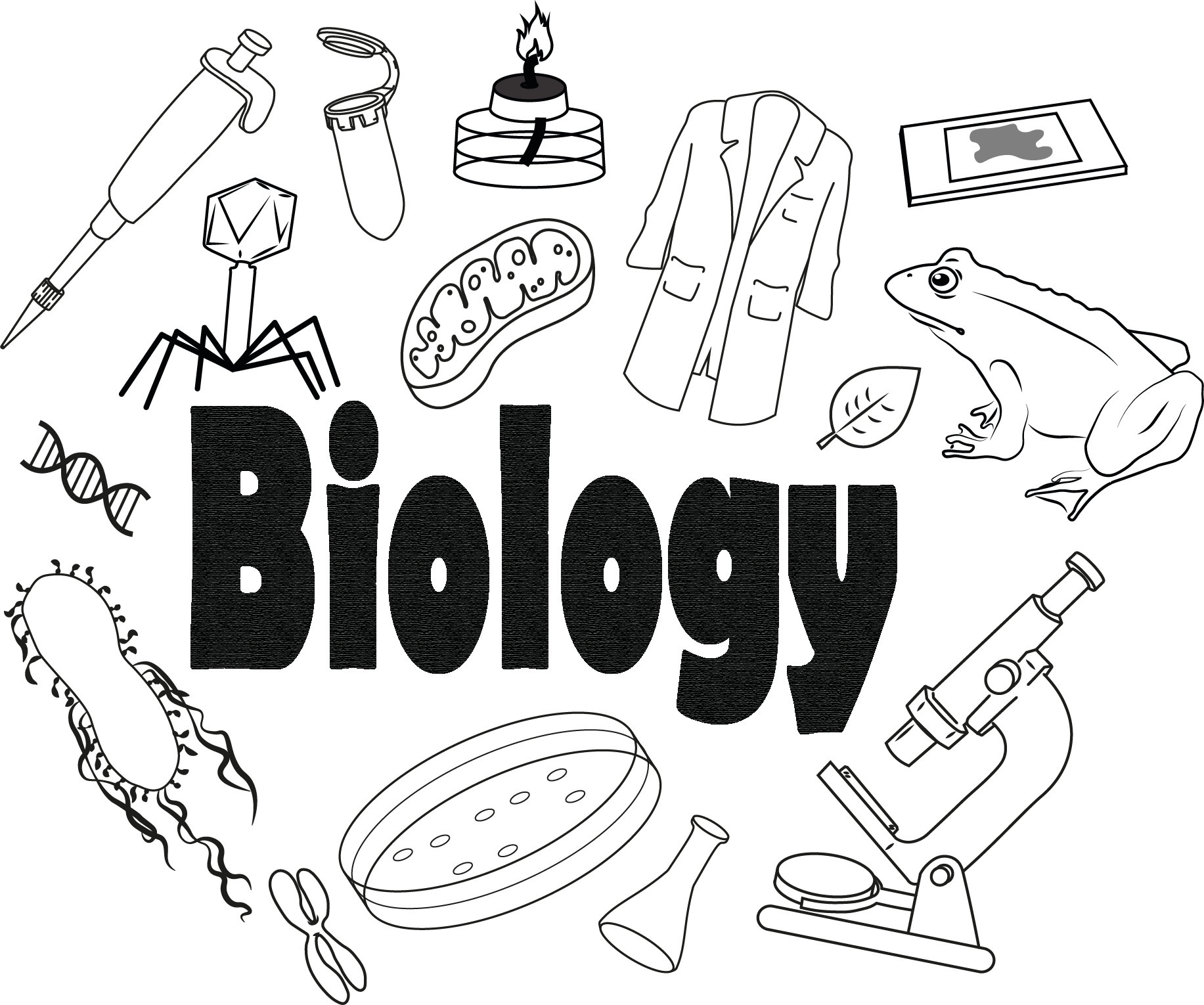 BIOLOGY Bundle [lite]. Clipart. Sticker. Transparent. PNG. 1200ppi ...