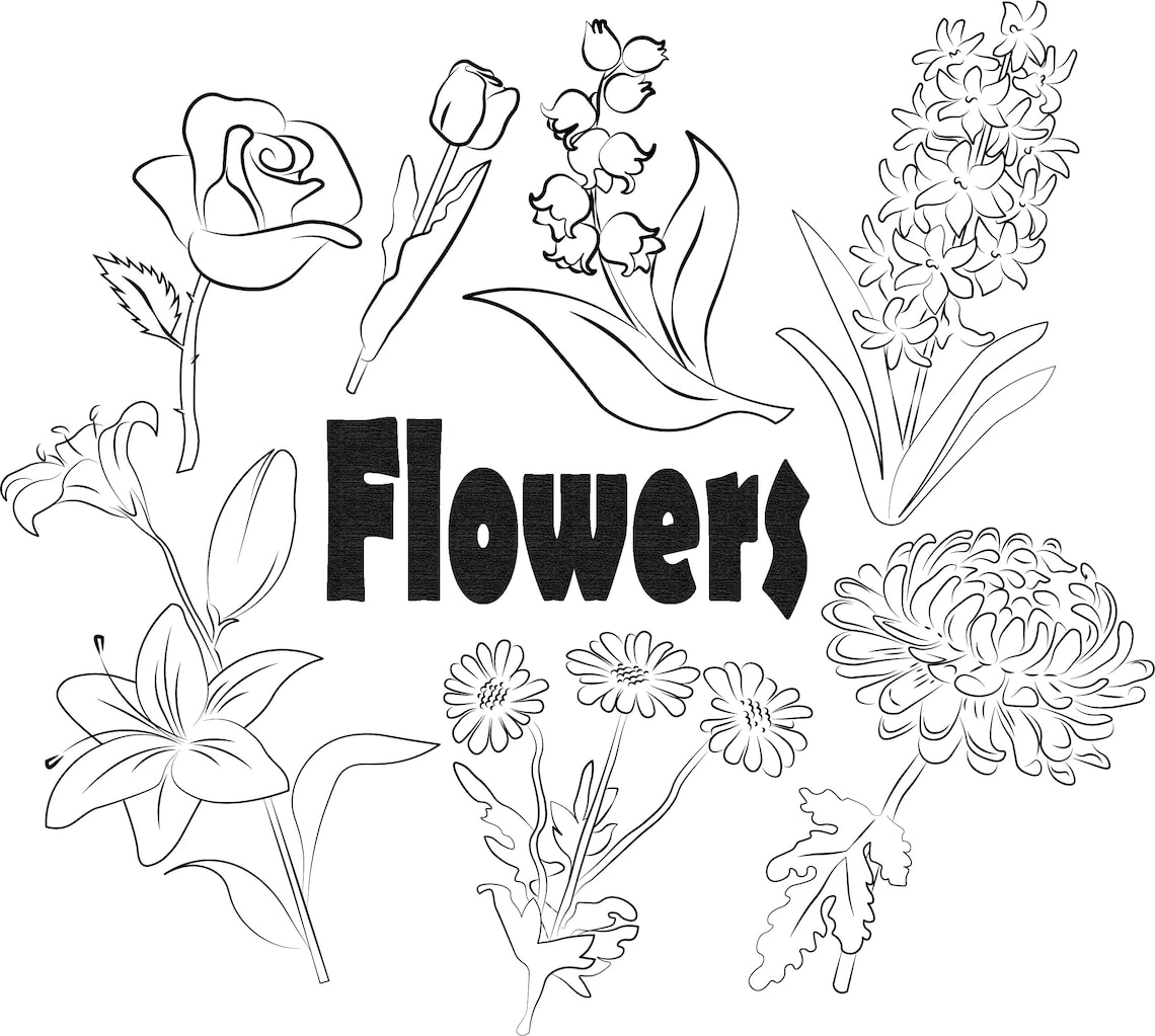 FLOWER Bundle. Clipart. Sticker. Transparent. PNG. 1200ppi. Graphic ...
