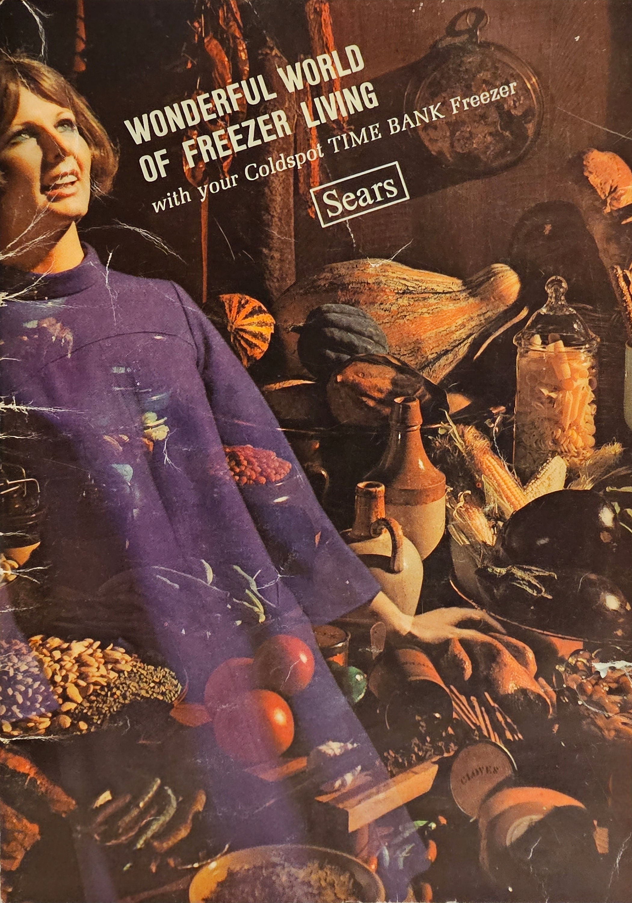 TWO Vintage Sears Coldspot Freezer Guide Manuals (with Care AND Parts ...