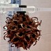 Jumping Spider Accessories - Etsy