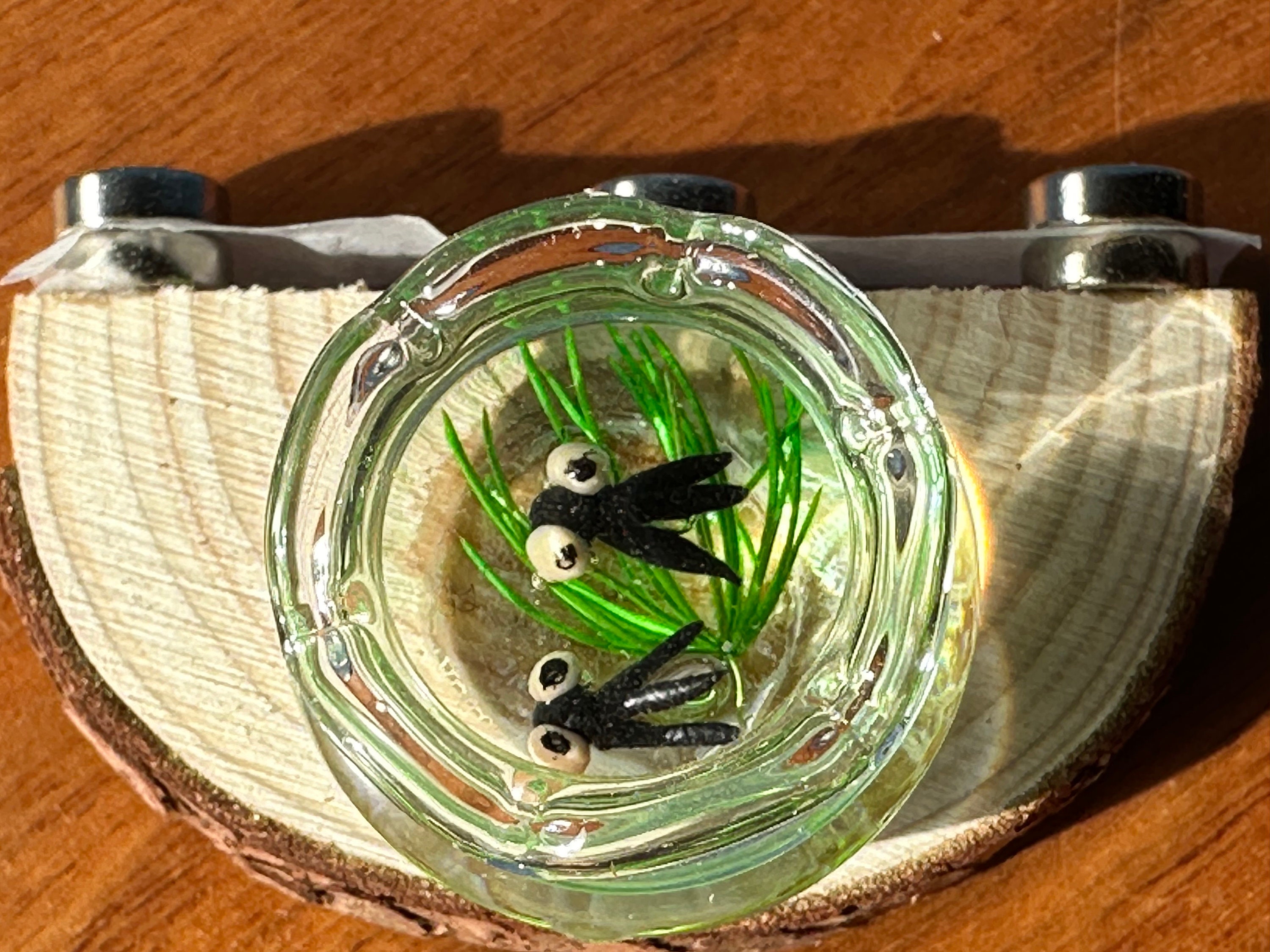 Jumping Spider Accessories - Etsy