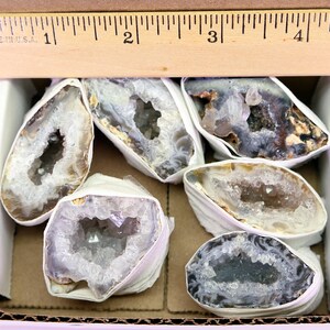 Oco Geodes 6 Pieces Natural Polished Agate Crystals Druzy Geode Halves A Grade - Etsy