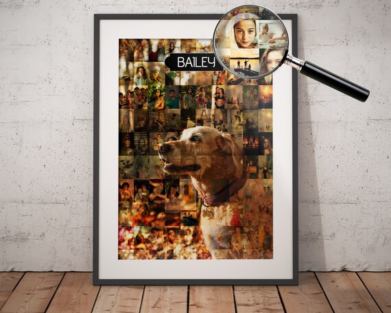Collage Golden Retriever