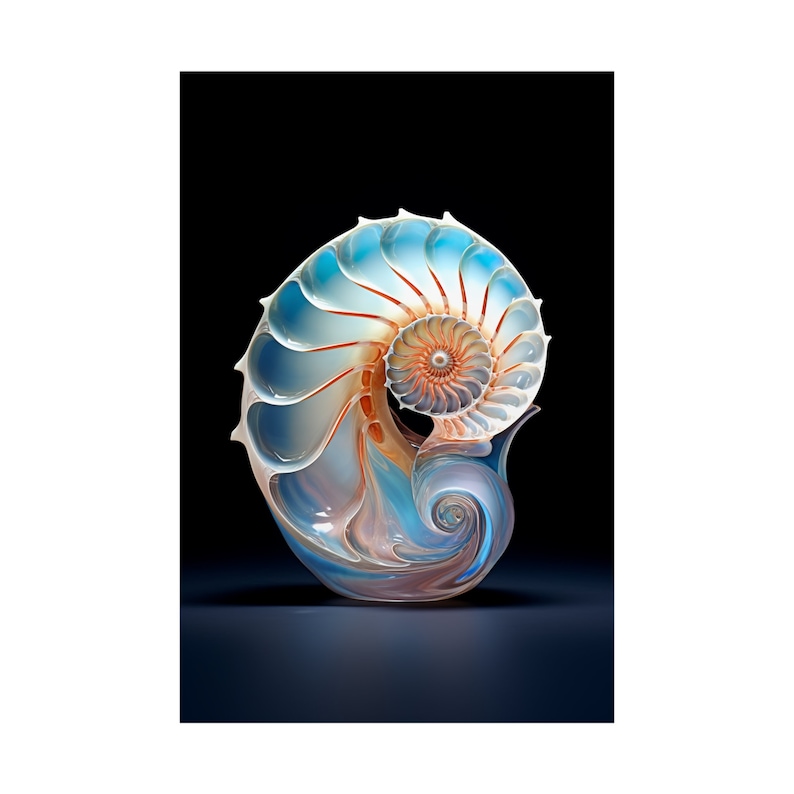 Coastal Art Print, Nautilus Shell Print Glossy, Wall Art, Beach Art ...
