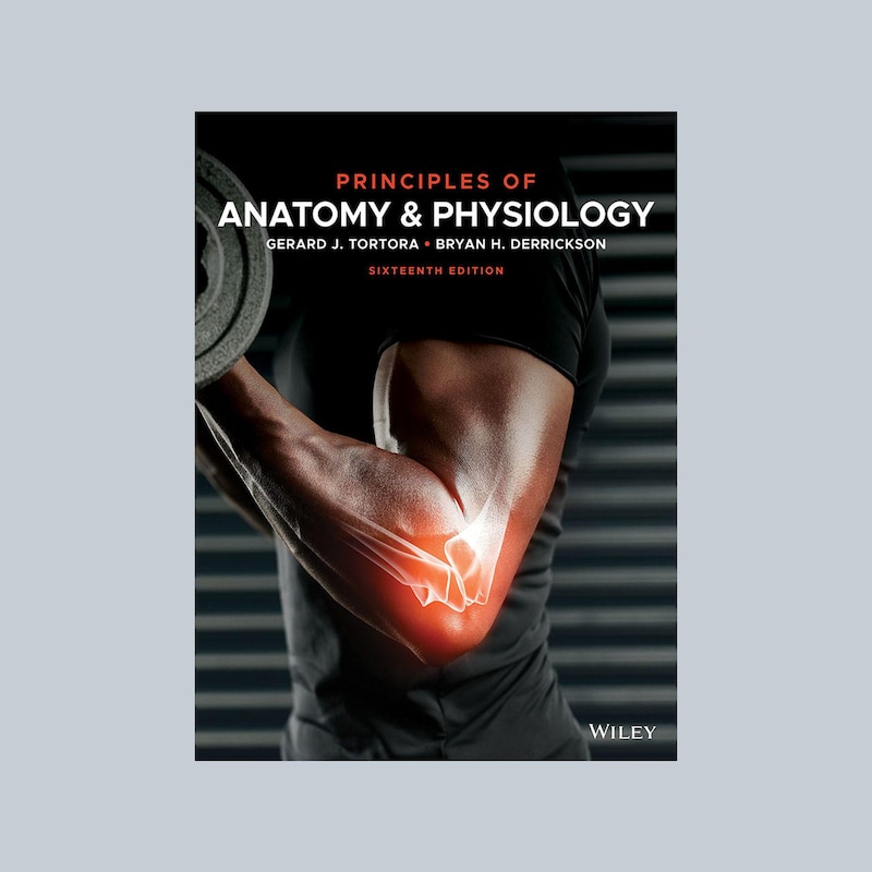 Zick Zack Mann Crib - Etsy New Zealand