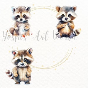 Watercolor Cute Baby Raccoon PNG Bundle, Digital Crafts Designs ...