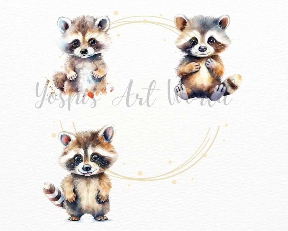 Watercolor Cute Baby Raccoon PNG Bundle Digital Crafts - Etsy
