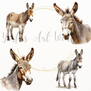 Watercolor Donkey PNG Bundle, Digital Crafts Designs Transparent ...