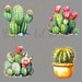 Watercolor Cactus PNG Bundle, Digital Crafts Designs Transparent ...