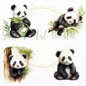 Watercolor Cute Panda PNG Bundle, Digital Crafts Designs Transparent ...