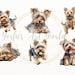 Yorkshire Terrier PNG Bundle, Digital Crafts Designs Transparent, Yorkie Clipart, Dog PNG, Puppy ...
