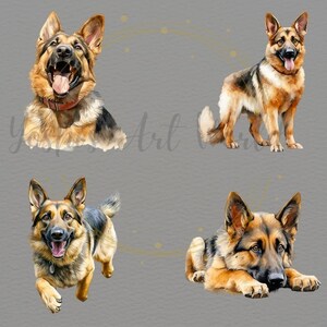 Watercolor German Shepherd PNG Bundle, Digital Crafts Designs ...