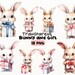 Watercolor Bunny and Gift PNG Bundle, Digital Crafts Designs ...