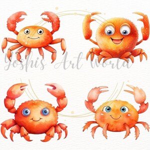Cute Crab PNG Bundle, Digital Crafts Designs Transparent, Baby Crab ...