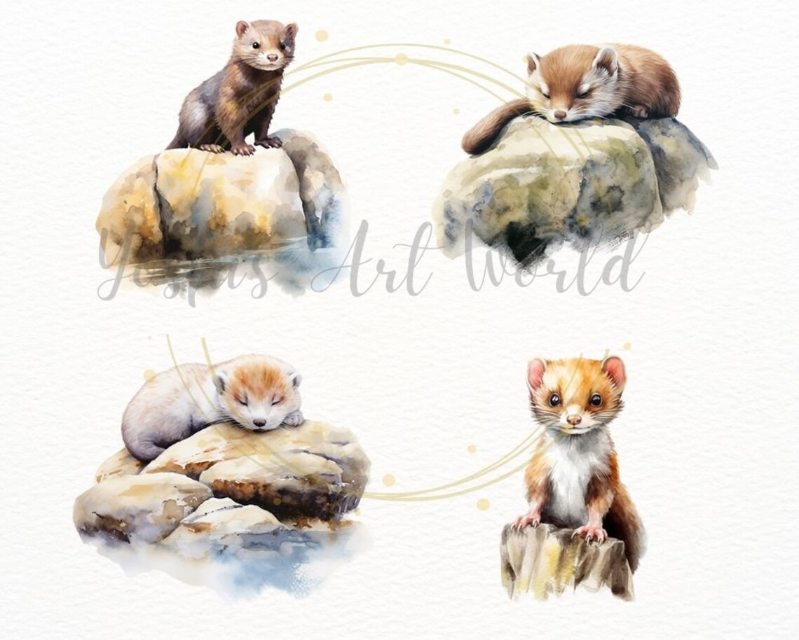 Watercolor Cute Mink PNG Bundle, Digital Crafts Designs Transparent ...