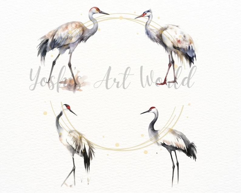 Watercolor Crane PNG Bundle Digital Crafts Designs - Etsy