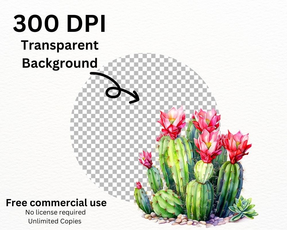 Watercolor Cactus PNG Bundle Digital Crafts Designs - Etsy