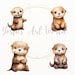 Watercolor Cute Otter PNG Bundle, Digital Crafts Designs Transparent ...