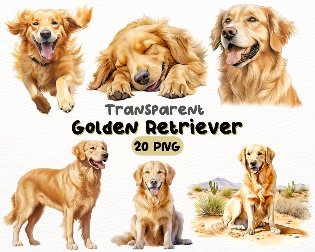 Watercolor Golden Retriever PNG Bundle, Digital Crafts Designs ...