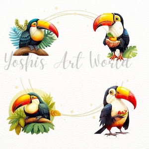 Watercolor Cute Toucan PNG Bundle, Digital Crafts Designs Transparent ...