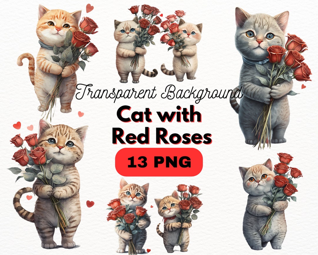 Watercolor Cat With Red Roses PNG Bundle, Digital Crafts Designs ...